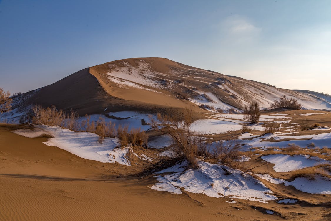 AI - JAI Official Website